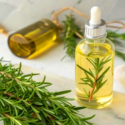Buy Online Essential Oils for Therapeutic Aromatherapy – Herbology